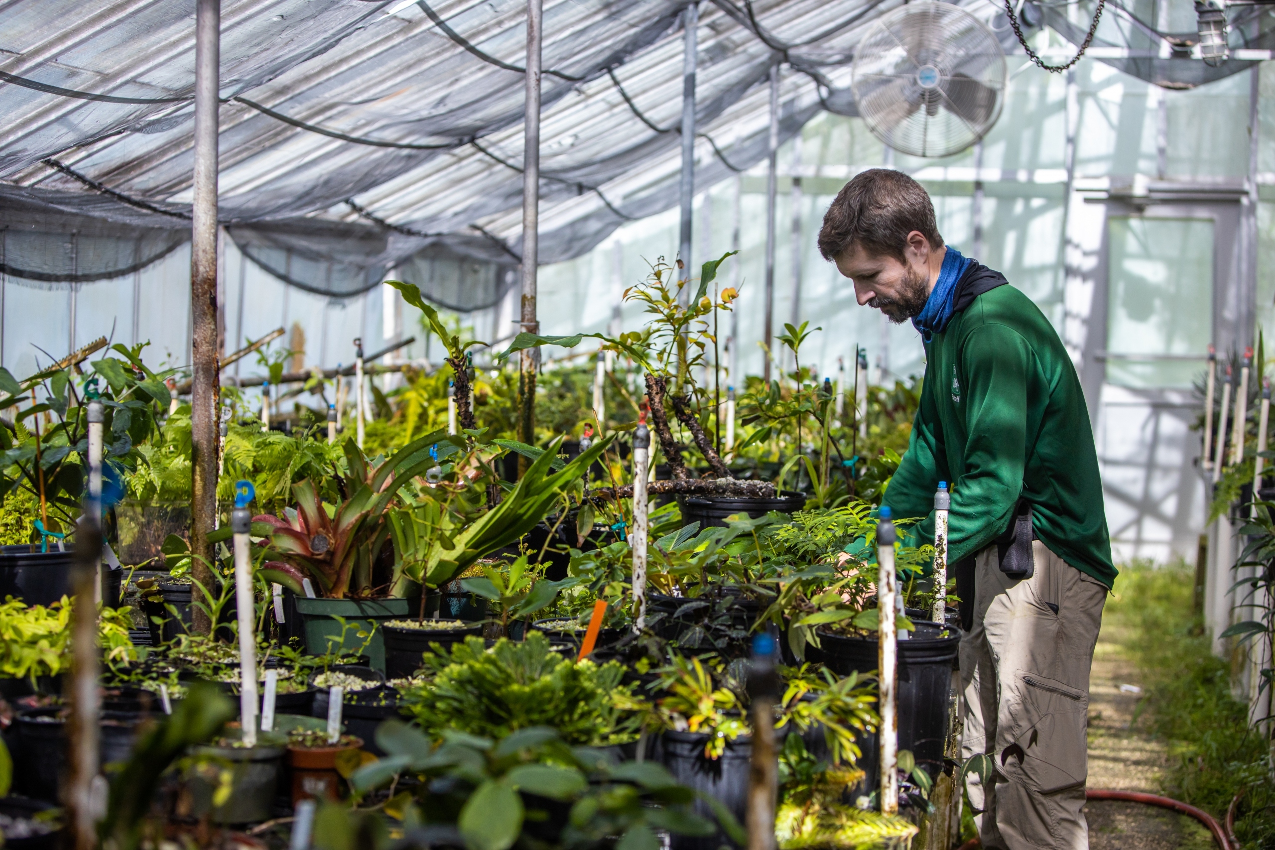 Plant Nursery Miami Plants Trees Expertly Grown By Fairchild