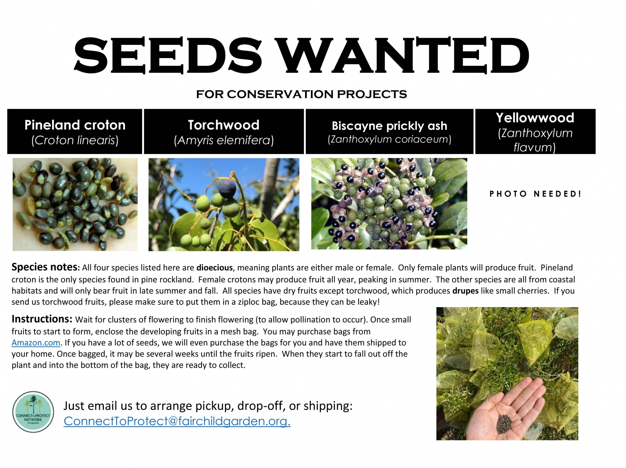 Native Plant Network - Fairchild Tropical Botanic Garden