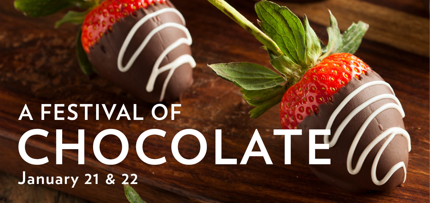 Fairchild Tropical Botanic Garden: Your Miami Botanical Garden