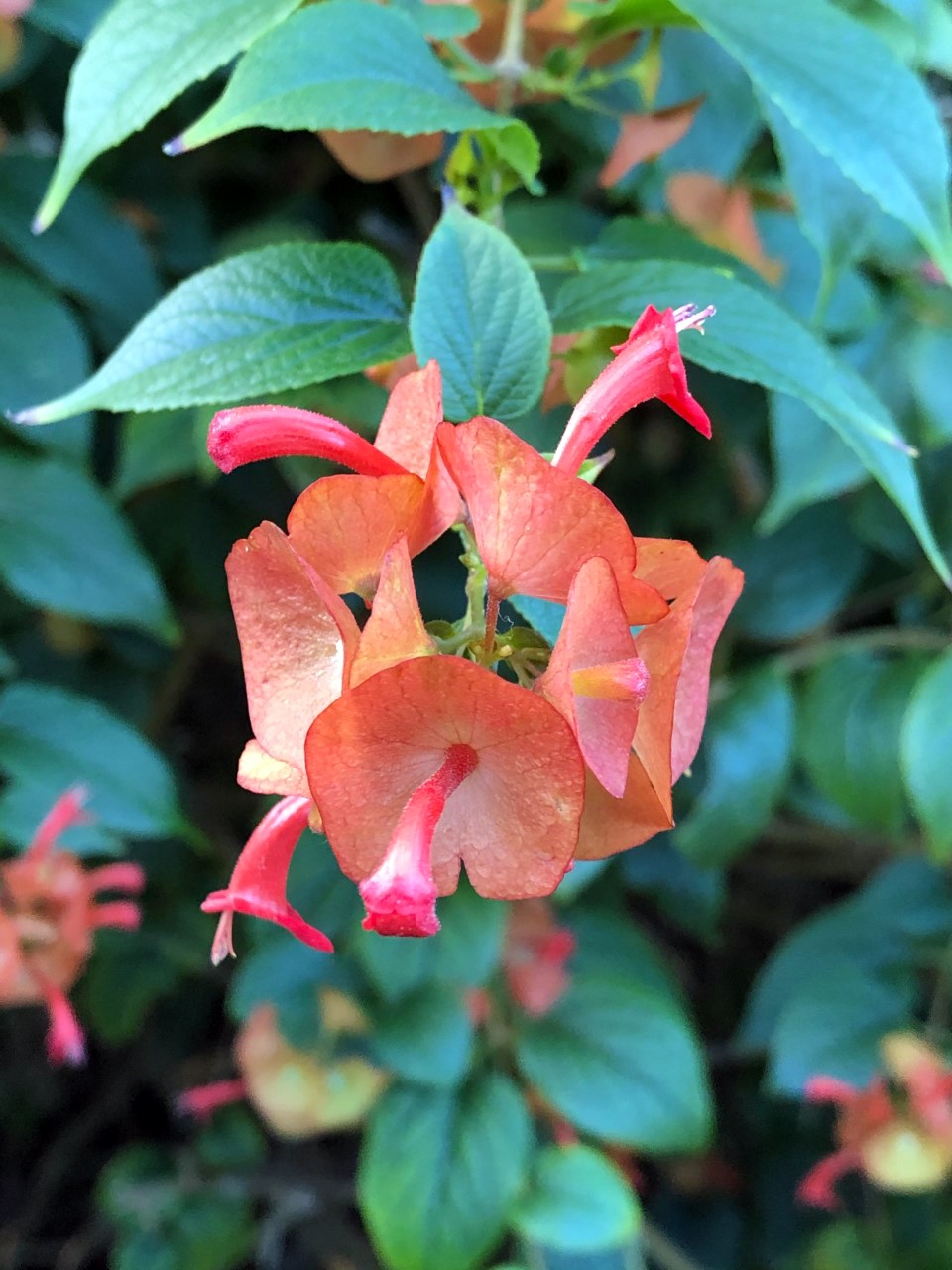 February - Fairchild Tropical Botanic Garden