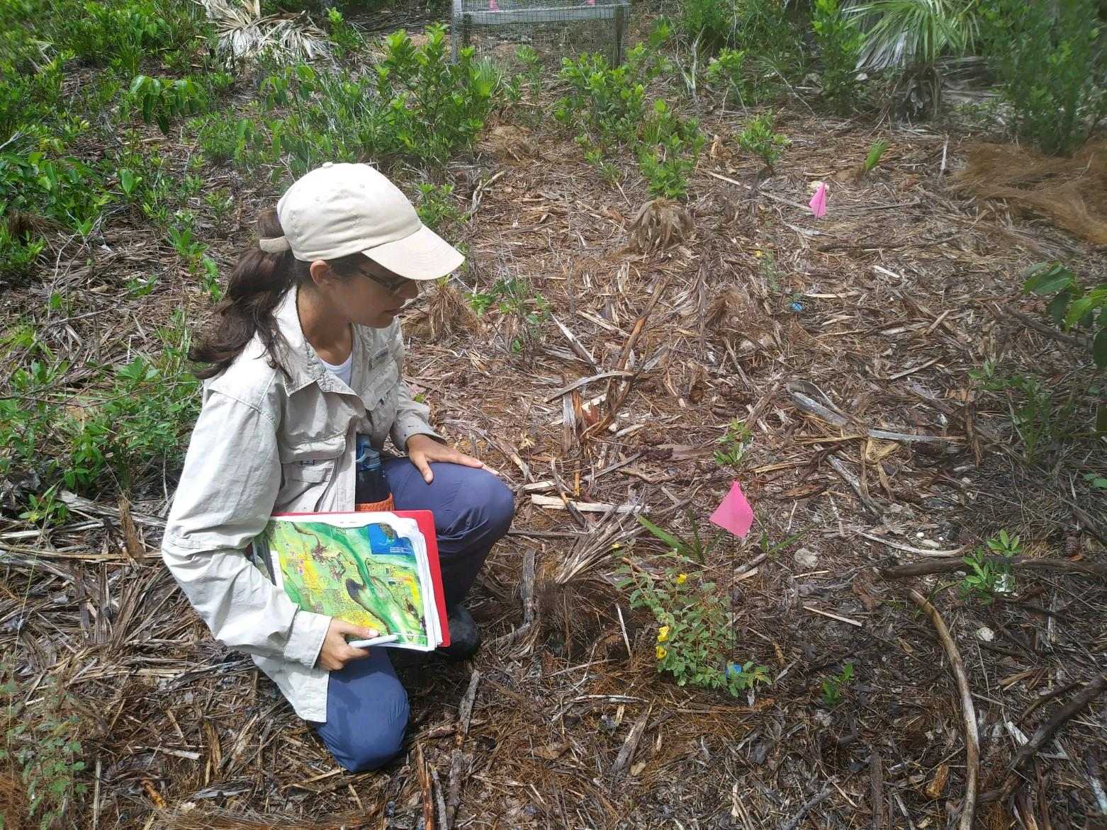 Native Plant Conservation - Fairchild Tropical Botanic Garden