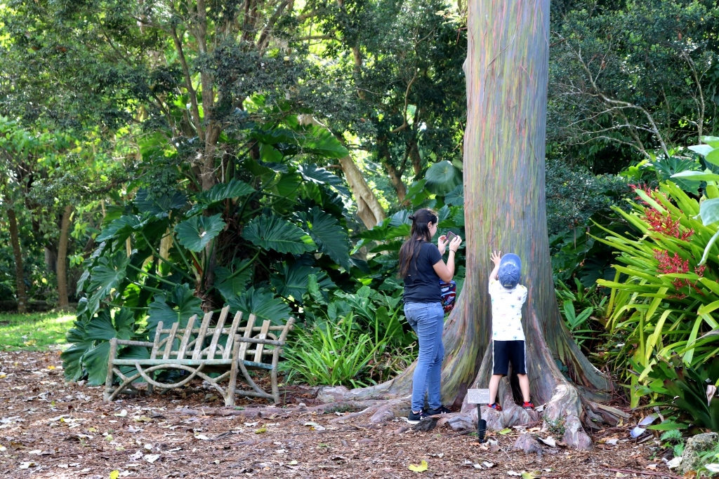 Family Fun - Fairchild Tropical Botanic Garden
