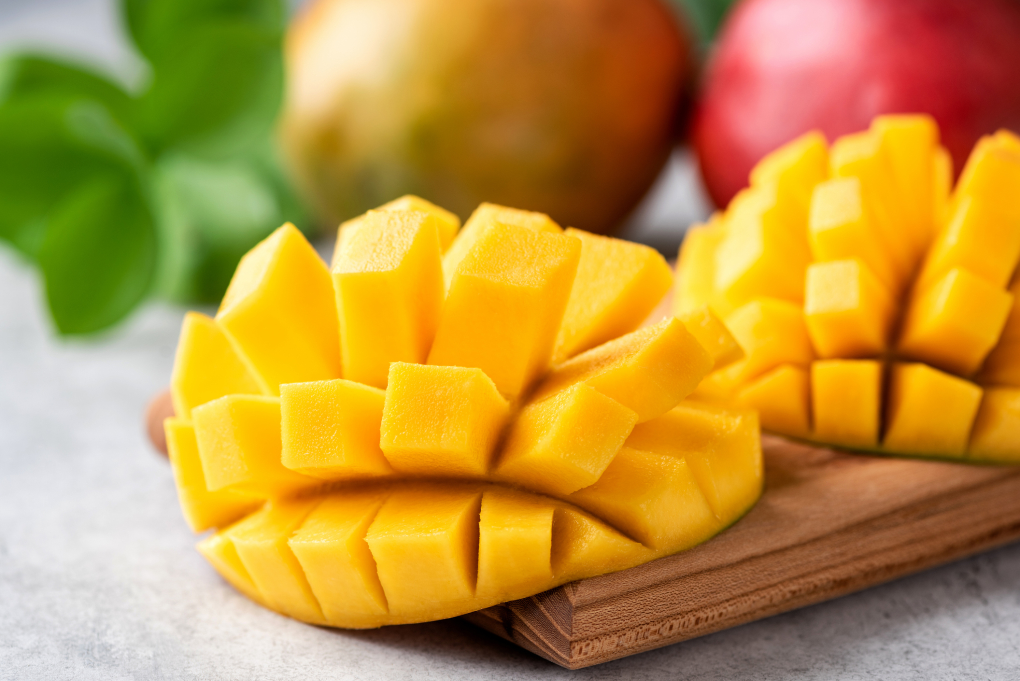 Mango Season in Florida - Fairchild Tropical Botanic Garden