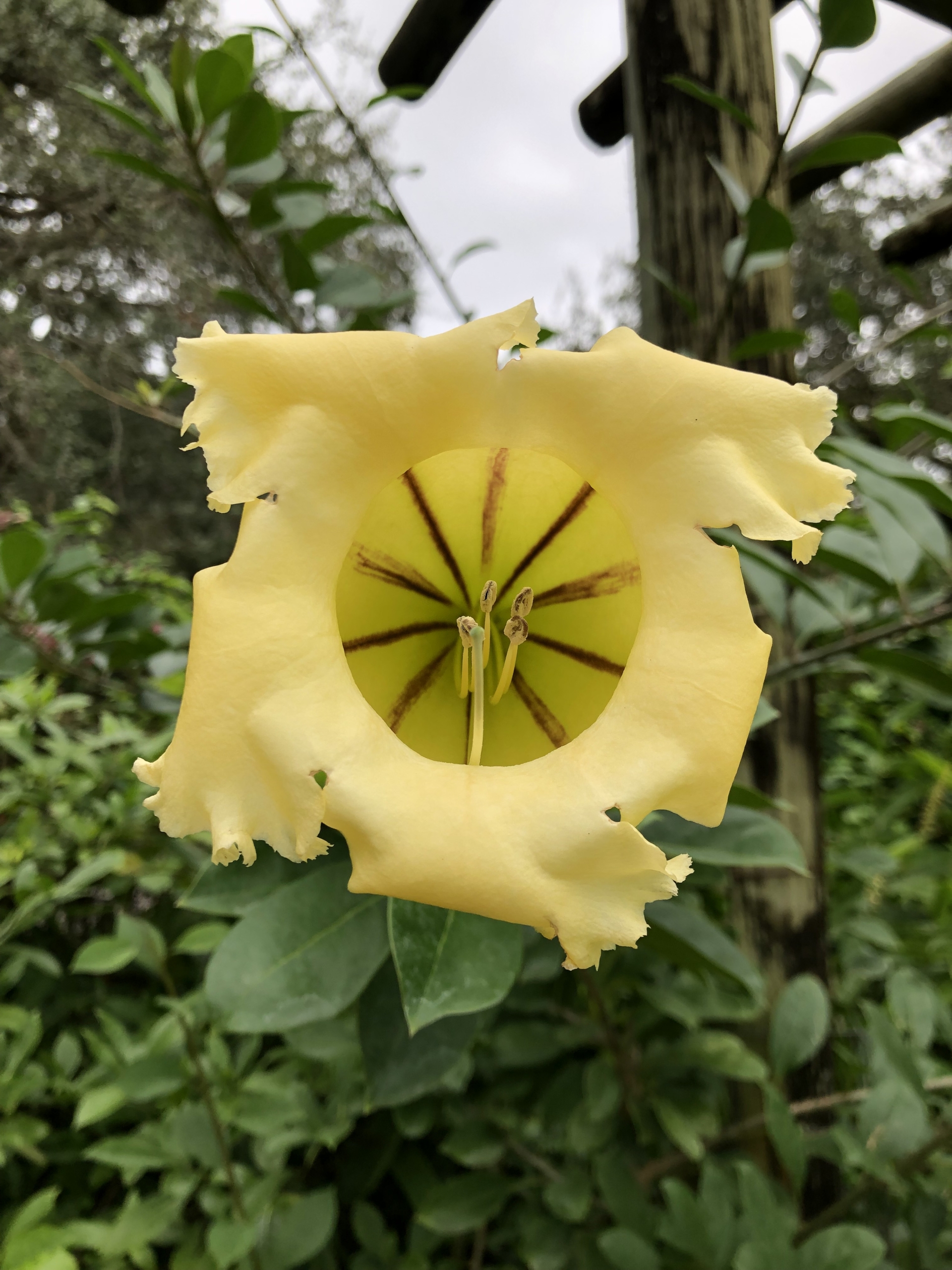 December - Fairchild Tropical Botanic Garden