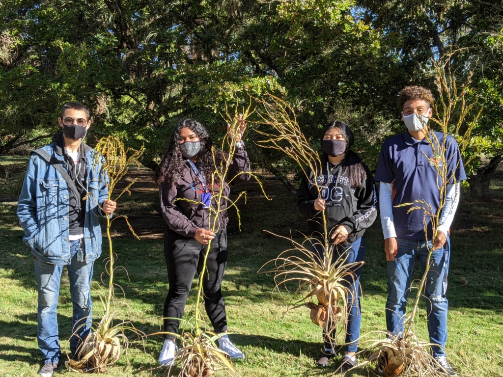 Biotech High School - Fairchild Tropical Botanic Garden