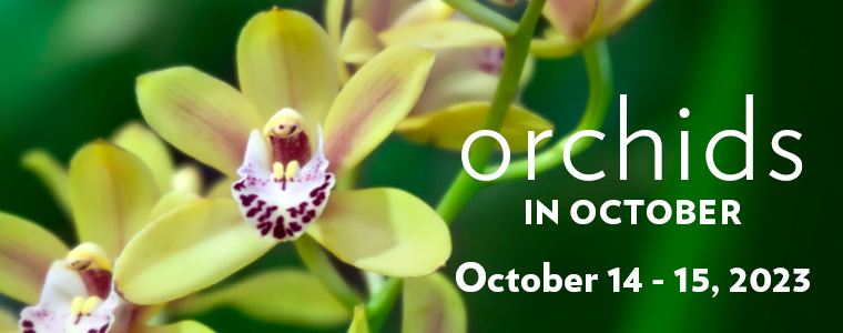 Fairchild Tropical Botanic Garden: Miami's Botanical Garden