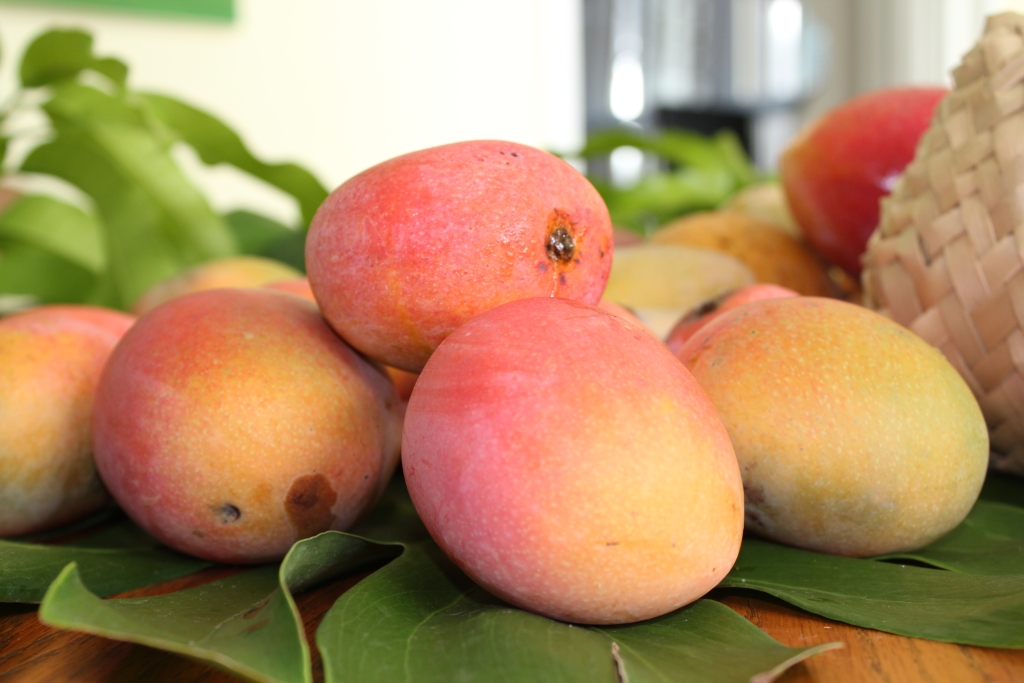 Mangos: from Wild to Table - In Search of the Wild Mango