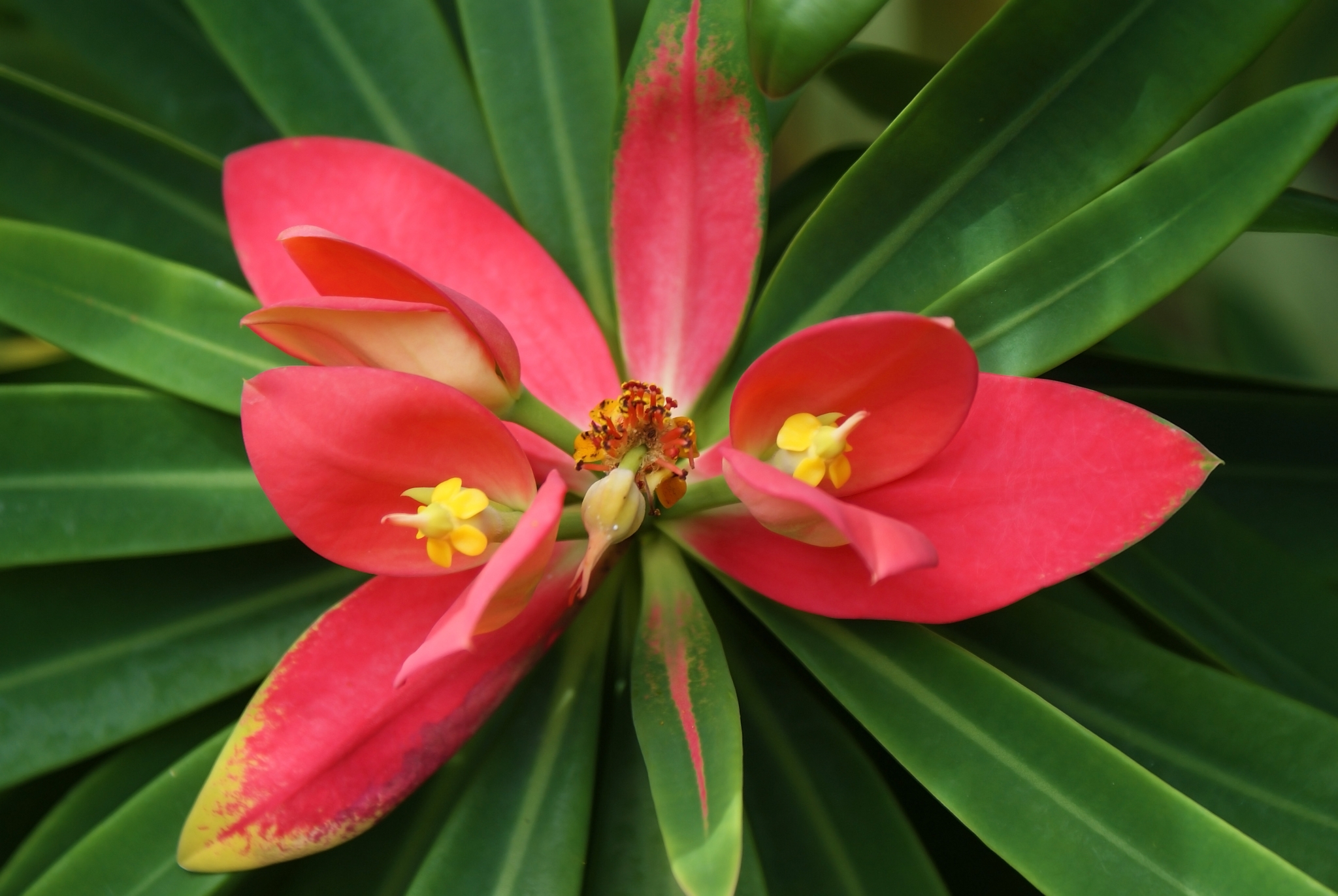 January - Fairchild Tropical Botanic Garden