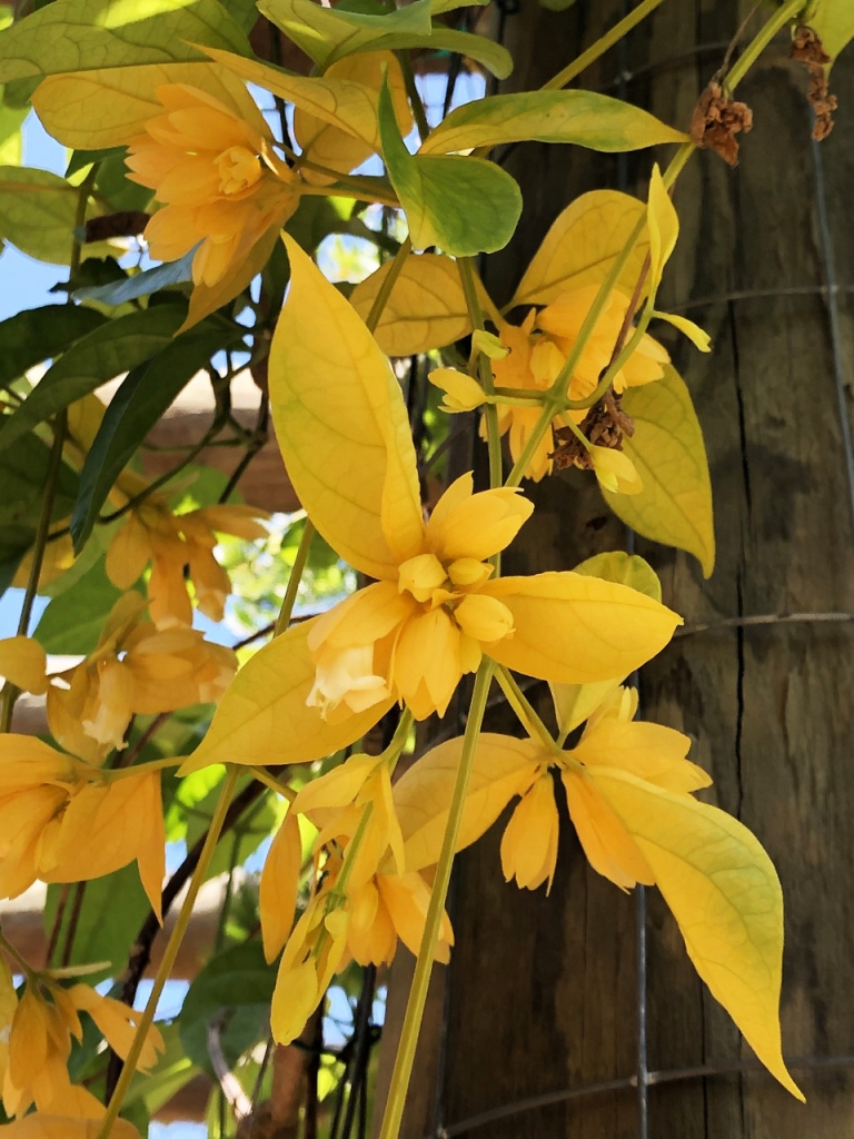 January - Fairchild Tropical Botanic Garden