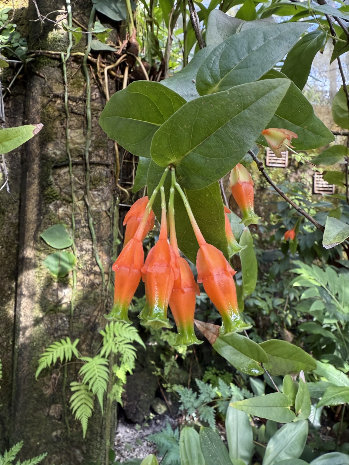 January - Fairchild Tropical Botanic Garden