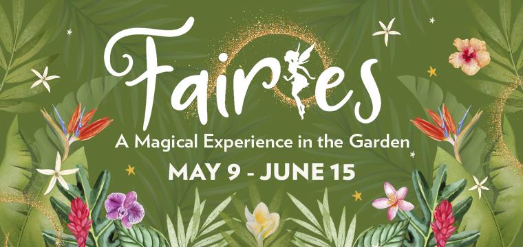 Fairchild Tropical Botanic Garden: Your Miami Botanical Garden