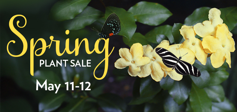 Fairchild Tropical Botanic Garden: Your Miami Botanical Garden