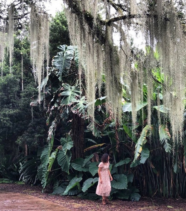 Home - Fairchild Tropical Botanic Garden