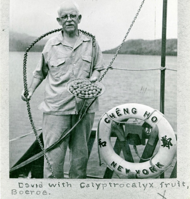 Home - Fairchild Tropical Botanic Garden